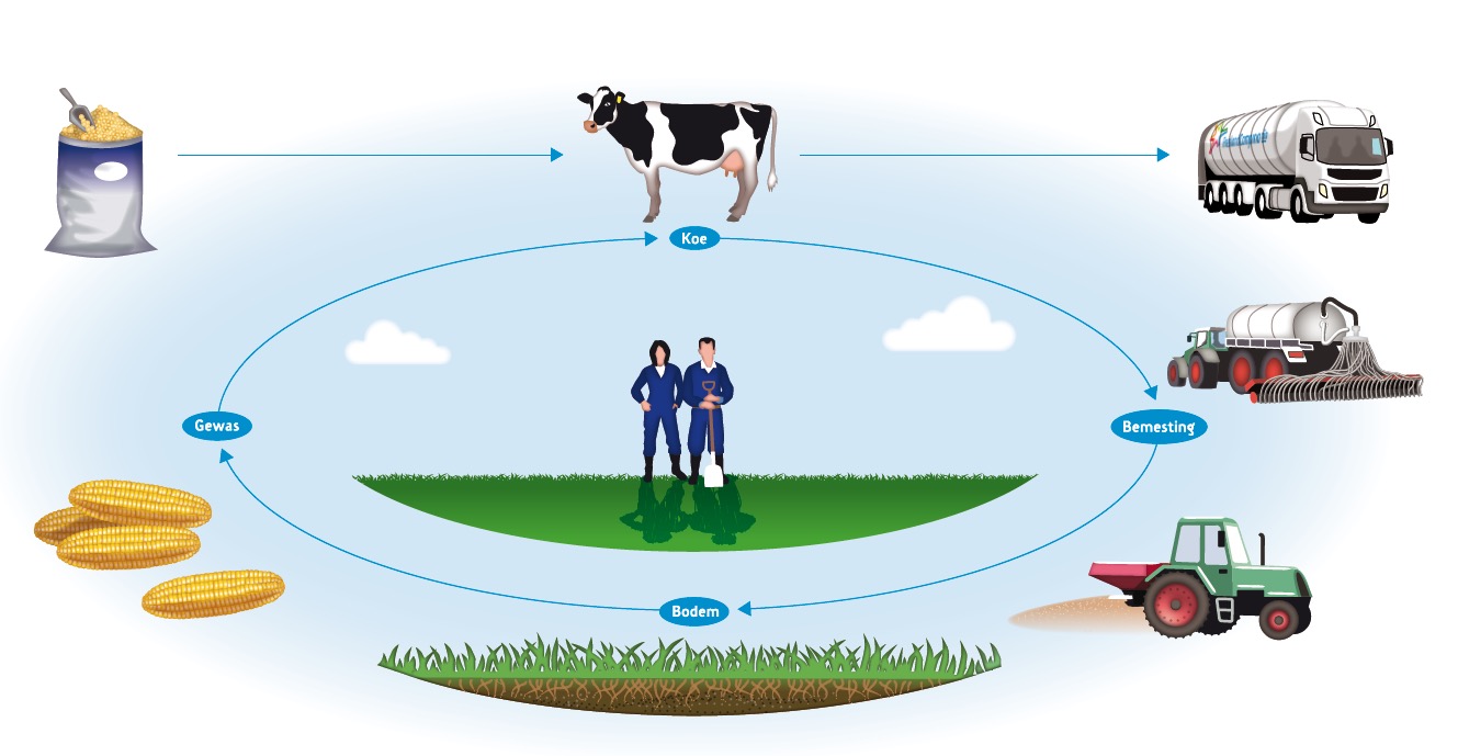 FrieslandCampina - Rene van Asselt
